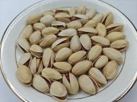 China Satisfy Cravings Roasted Salt Pistachio In Shell Free Sample for sale