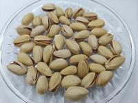 China Satisfy Cravings Roasted Salt Pistachio In Shell Free Sample for sale