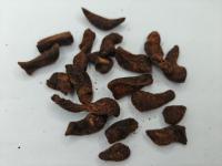 China Spicy Mushroom Jerky Ultimate B2B Snack Natural Flavorful Ingredients for sale