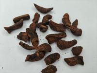 China Spicy Mushroom Jerky Ultimate B2B Snack Natural Flavorful Ingredients for sale