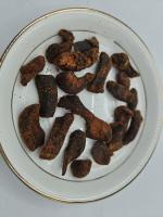 China Spicy Mushroom Jerky Ultimate B2B Snack Natural Flavorful Ingredients for sale
