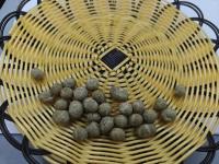 China Nutritious Delicious 's High Protein Seaweed Coated Peanuts In Bulk Packaging for sale