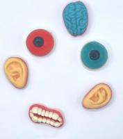 China Dr. Franken-Sweet's Monstrous Medley of Gory Gummies for sale
