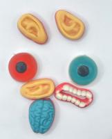 China Dr. Franken-Sweet's Monstrous Medley of Gory Gummies for sale