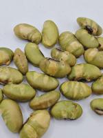 China Snacks Soya Bean Nibbles Baking Style Crispy Nutritious Plant Based Protein Rich Ingredient Ideal For Food Manufacturing for sale