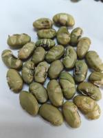 China Cool And Dry Place Without Sunlight Storage Soya Bean Treats Ideal Ingredient For Nutritional Food Processing And Snacks for sale