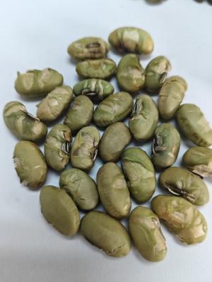 China Cool And Dry Place Without Sunlight Storage Soya Bean Treats Ideal Ingredient For Nutritional Food Processing And Snacks for sale