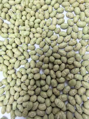 China Expiration Date 12 Months Soya Bean Appetizers With Crunchy Texture Suitable For Food Industry And Retail Snack Selections for sale