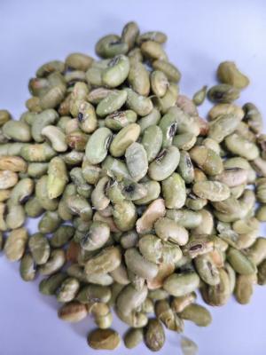 China Vegan Soya Bean Snacks with Logo Service No Food Additive Healthy Plant Based Protein Rich Snack Alternative for sale