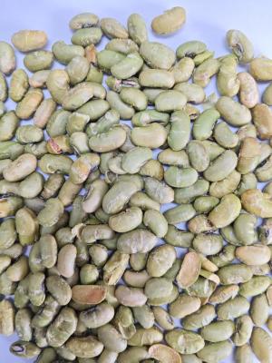 China Shelf Life 1 Year Soya Bean Nibbles Kernel Size 8 to 10mm Length elongated Shape excellent for nutritional food products for sale