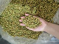 China Frien greeen peas for sale