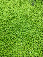 China HALAL Certified High Protein Frozen Edamame Beans for sale