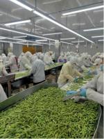 China HALAL Certified High Protein Frozen Edamame Beans for sale