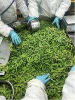 China HALAL Certified High Protein Frozen Edamame Beans for sale