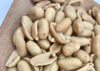 China Non GMO Vegan Salted Fried Peanuts Natural Snack Crispy Zero Trans Fat for sale