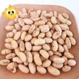 China Kosher Halal Coated Roasted Spicy Yellow Edamame for sale