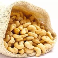 China No Food Color Salted Roasted Cashew Nut Snacks With HACCP/HALAL/BRC Certification for sale