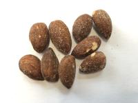 China Popular health Wholesale Barbecue Flavor Roasted Almond Nuts Snacks for sale