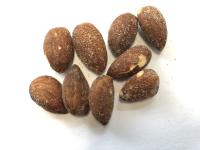 China Popular health Wholesale Barbecue Flavor Roasted Almond Nuts Snacks for sale