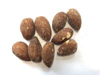 China Popular health Wholesale Barbecue Flavor Roasted Almond Nuts Snacks for sale