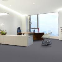 China 50x50 Cm Nylon Loop Carpet Tiles Anti-Static Commercial Carpet Tile Solution Dyed for sale