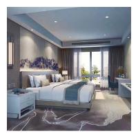 China 5-Star Hole Room Wall To Wall Handtudted Carppet For High-End Space for sale