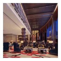 China Lobby And Hallway 10mm Cut Pile Hand Tufted Carpet Customizable Design for sale
