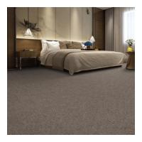 China Home Carpet Tufted Broadloom Carpet Customized Color Nylon Carpet for sale