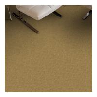 China Custom Color Plain Carpet 10mm Cut Pile Carpet Residential Broadloom Carpet for sale