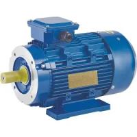 China AC Three Phases Motor solution for industrial drives offering stable speed control and high mechanical strength under load for sale