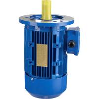 China AC Three Phases Motor solution for industrial drives offering stable speed control and high mechanical strength under load for sale