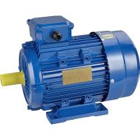 China AC Three Phases Motor solution for industrial drives offering stable speed control and high mechanical strength under load for sale