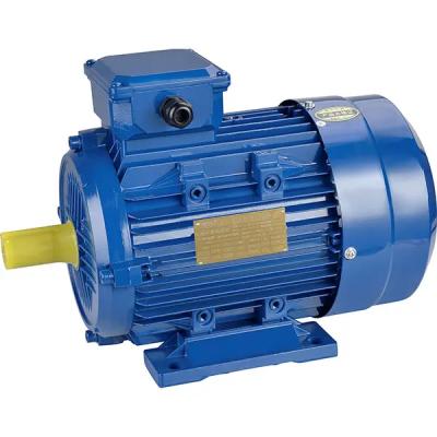 China YE2 Series Three-Phase Asynchronous Motors for sale