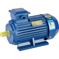 China Heavy duty AC Three Phases Motor designed to operate efficiently in demanding industrial environments and applications for sale