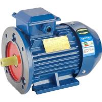 China Heavy duty AC Three Phases Motor designed to operate efficiently in demanding industrial environments and applications for sale