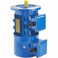 China YVF/YVP Series Frequecy Conversion Adjustable Speed AC Motor for sale