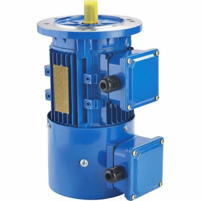 China YVP series Robust AC Three Phases Motor Frequency Engineered to Deliver Consistent Power Output and Smooth Operation in Manufacturing Plants for sale