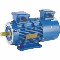 China YVF/YVP Series Frequecy Conversion Adjustable Speed AC Motor for sale