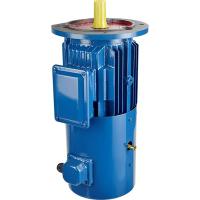 China YEJ Series Electromagnetic Brake Three-phase Asynchronous Motor for sale