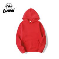 China Cheap Designer Erkek Long Sleeve Sweatshirt Hoody Blank Hoodies Camisa De Entrenamiento Polyester Plain Fitted Hoodie for sale