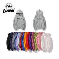 China Custom Modest Felpe Con Cappuccio 95% Cotton Bluzy Blank Vintage Oversize Sweatshirt Knit Premium Hoodies for sale