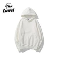 China Custom Modest Felpe Con Cappuccio 95% Cotton Bluzy Blank Vintage Oversize Sweatshirt Knit Premium Hoodies for sale