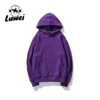 China Custom Modest Felpe Con Cappuccio 95% Cotton Bluzy Blank Vintage Oversize Sweatshirt Knit Premium Hoodies for sale