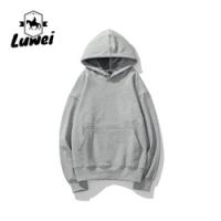 China Custom Modest Felpe Con Cappuccio 95% Cotton Bluzy Blank Vintage Oversize Sweatshirt Knit Premium Hoodies for sale