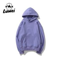 China Custom Modest Felpe Con Cappuccio 95% Cotton Bluzy Blank Vintage Oversize Sweatshirt Knit Premium Hoodies for sale