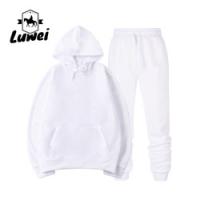 China Custom Felpe Con Cappuccio Bluzy Bulk Premium Blank Oversized Cut And Sew Heavy Sweatpants And Hoodie Set for sale