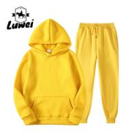 China Custom Felpe Con Cappuccio Bluzy Bulk Premium Blank Oversized Cut And Sew Heavy Sweatpants And Hoodie Set for sale