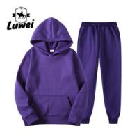 China Custom Felpe Con Cappuccio Bluzy Bulk Premium Blank Oversized Cut And Sew Heavy Sweatpants And Hoodie Set for sale