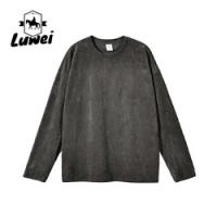 China Unisex Cotton Sweatshirt Hoodie Heavy Weight Slim Fit 260g Blank Hip Hop for sale