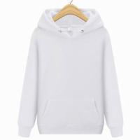China Custom Logo Print Cotton Blank Thick Luxury Hoodies Tracksuit Unisex Fleece Embroidery Bulk Heavyweight Plain Men's Hoodies for sale